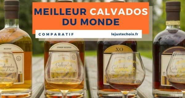 Meilleur pastis du monde, avis et classement des marques en 2022